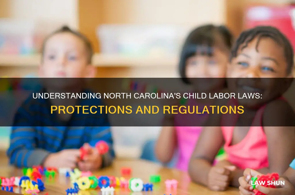Understanding North Carolina's Child Labor Laws: Protections And ...