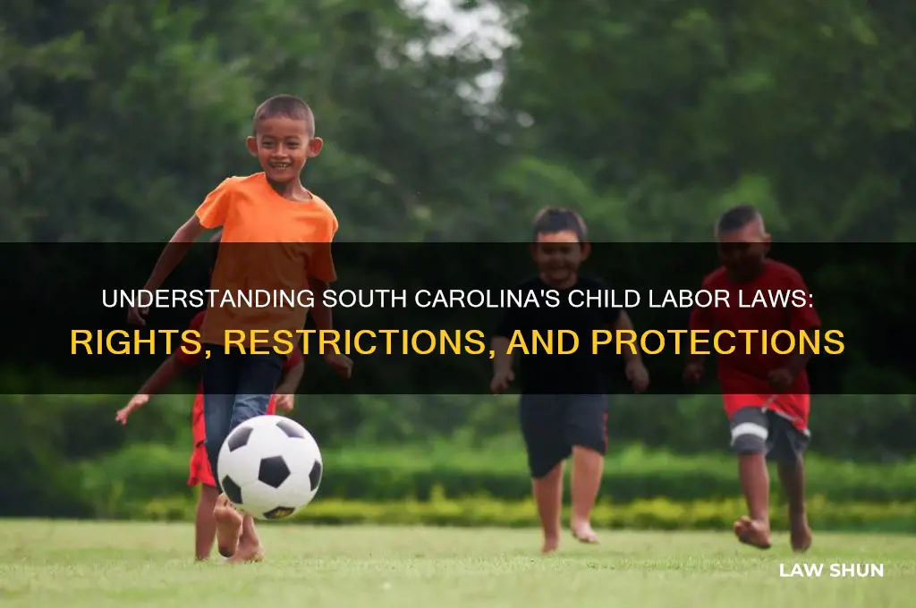 Understanding South Carolina's Child Labor Laws: Rights, Restrictions ...
