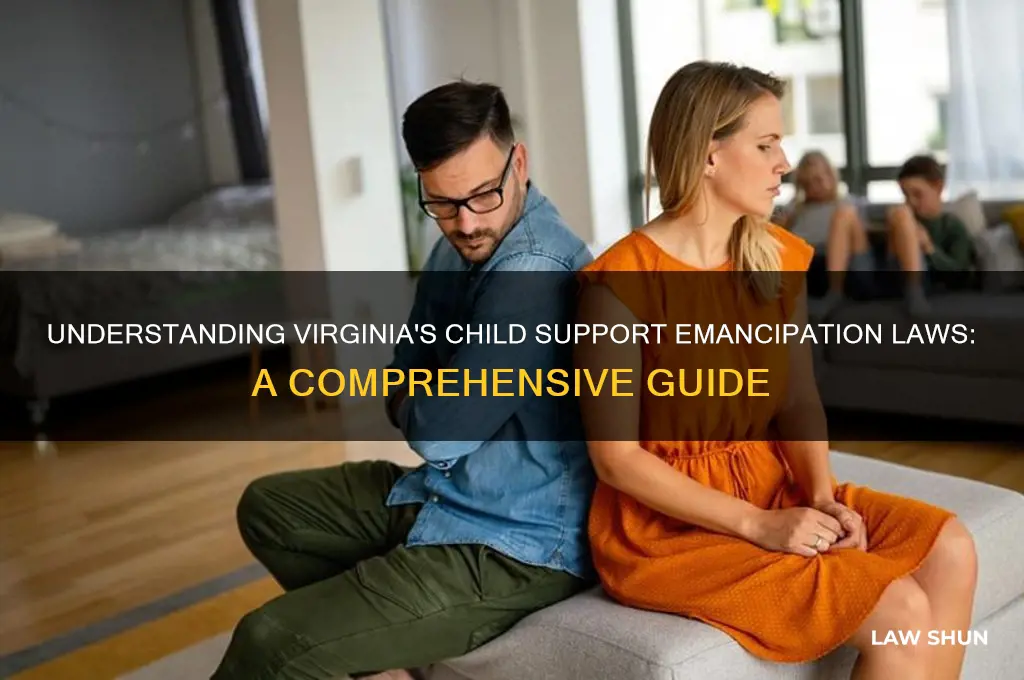 Understanding Virginia's Child Support Emancipation Laws: A ...