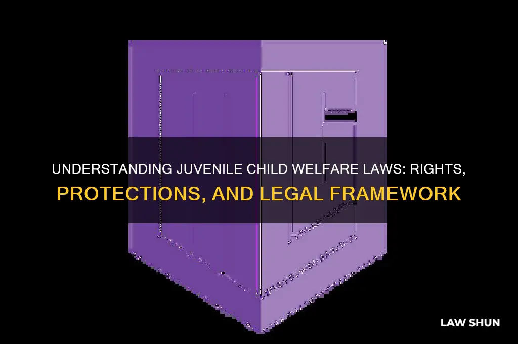 Understanding Juvenile Child Welfare Laws: Rights, Protections, And ...