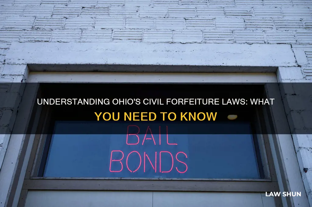 Understanding Ohio's Civil Forfeiture Laws: What You Need To Know | LawShun