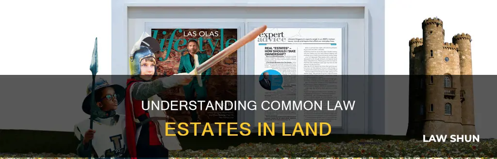 Understanding Common Law Estates In Land | LawShun