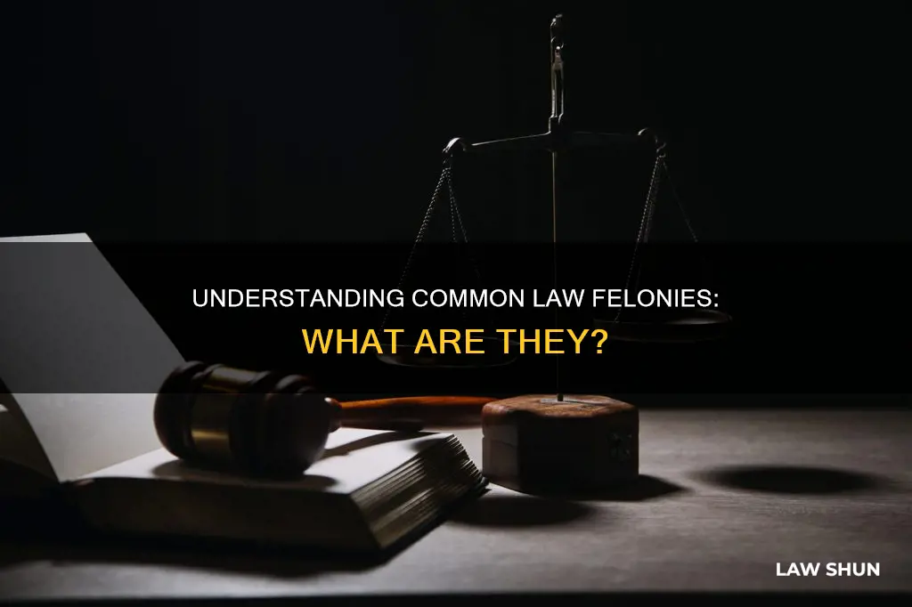 Understanding Common Law Felonies: What Are They? | LawShun