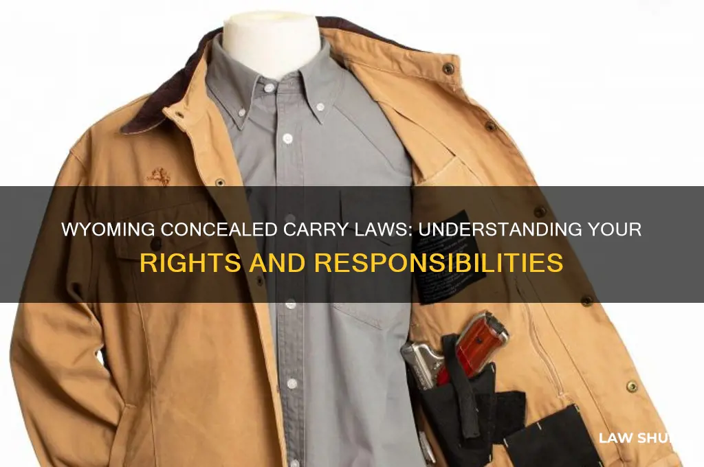 Wyoming Concealed Carry Laws: Understanding Your Rights And ...