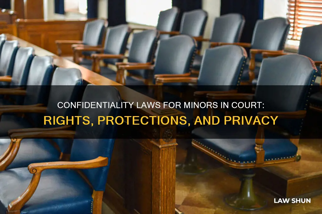 Confidentiality Laws For Minors In Court: Rights, Protections, And ...