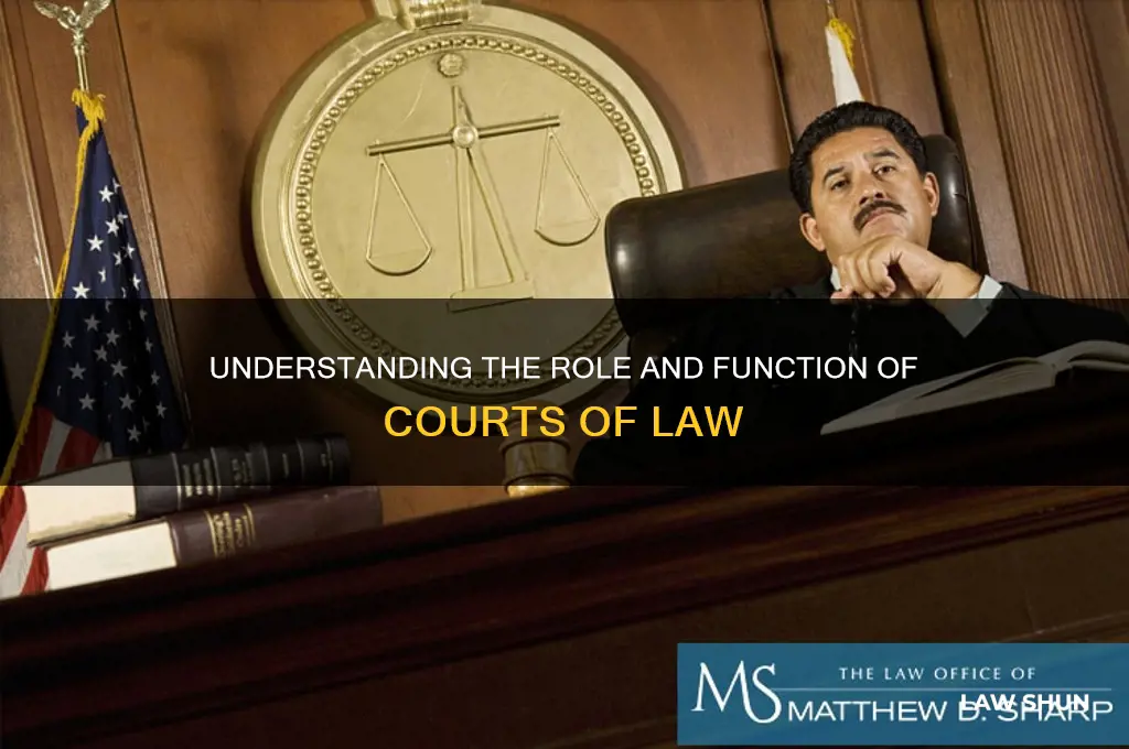 Understanding The Role And Function Of Courts Of Law | LawShun
