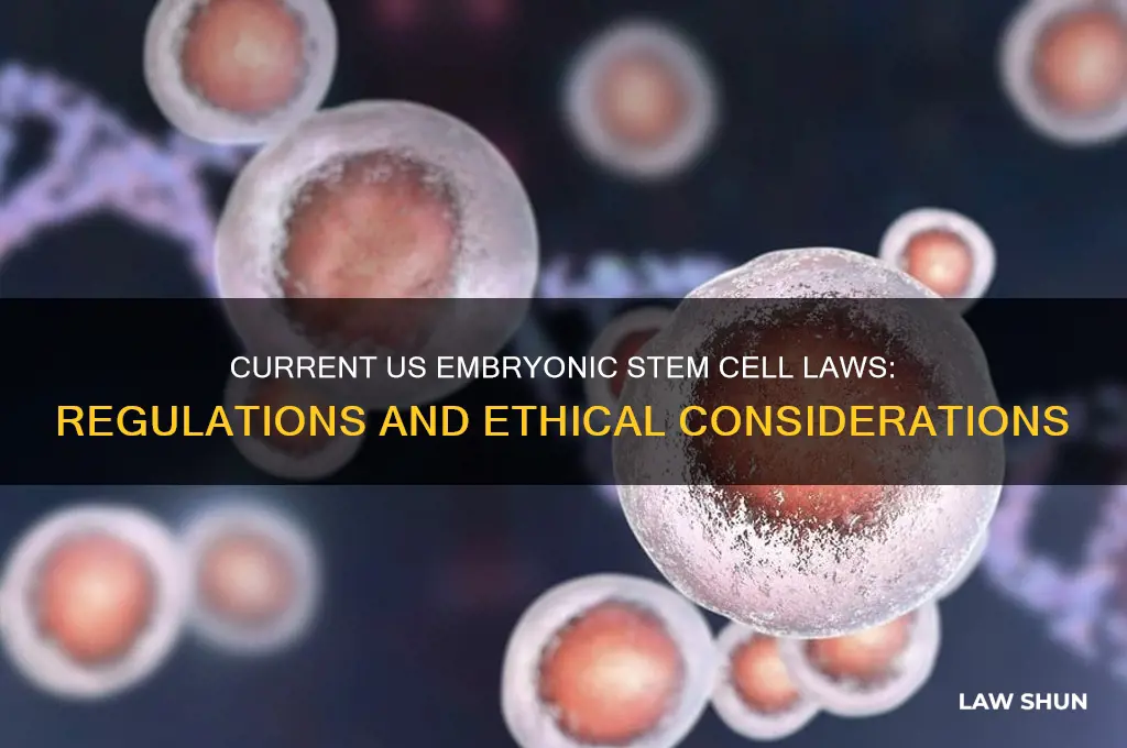 Current Us Embryonic Stem Cell Laws: Regulations And Ethical ...