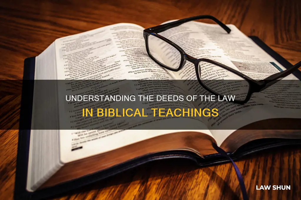 Understanding The Deeds Of The Law In Biblical Teachings | LawShun