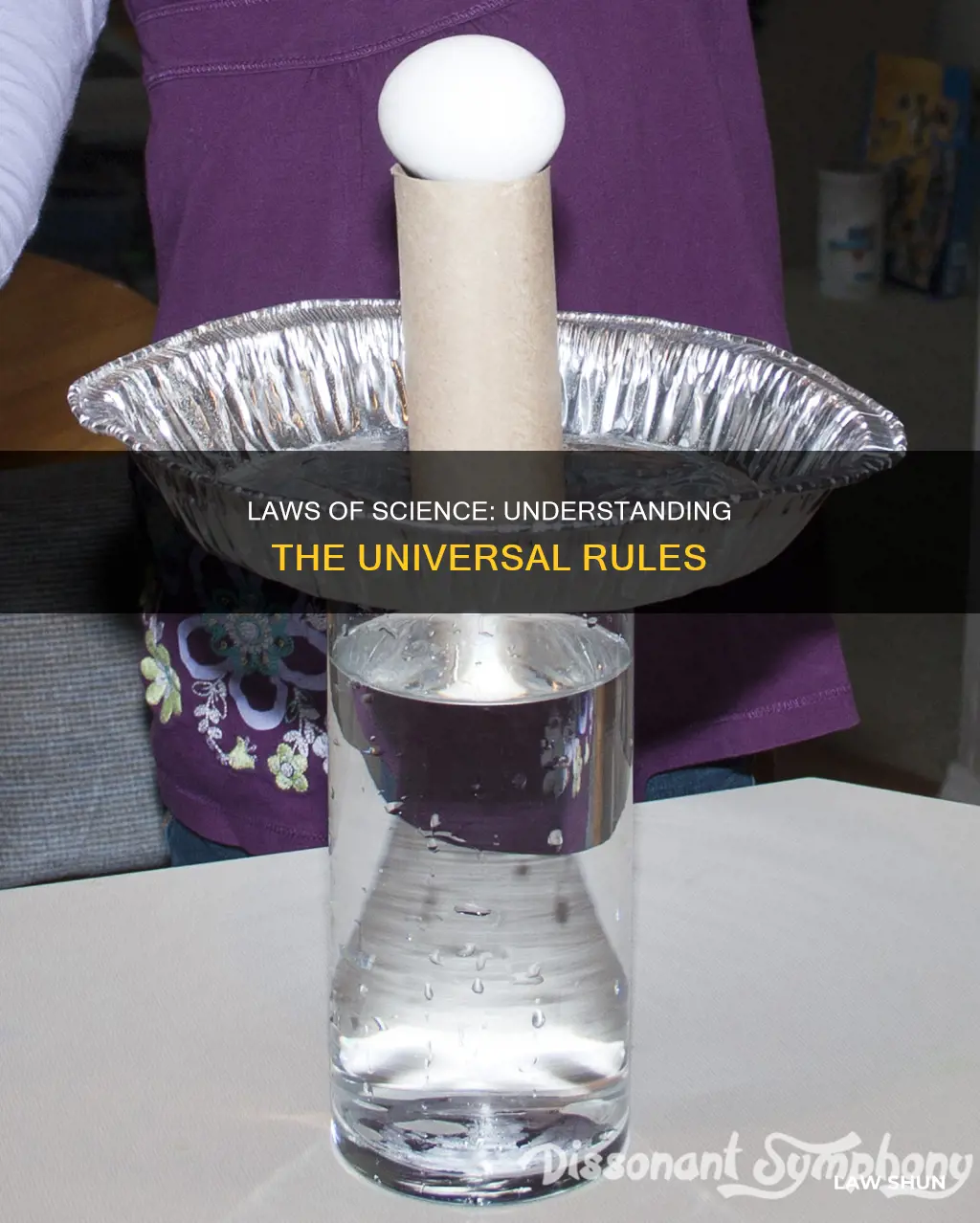 Laws Of Science: Understanding The Universal Rules | LawShun
