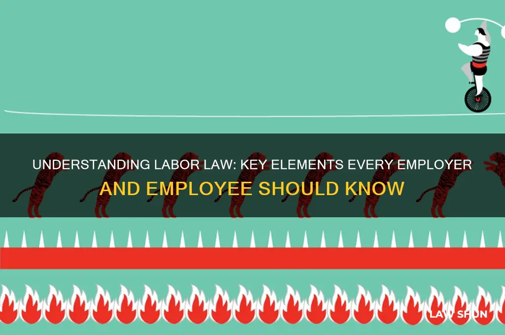 Understanding Labor Law: Key Elements Every Employer And Employee ...