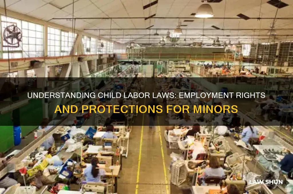 Understanding Child Labor Laws: Employment Rights And Protections For ...