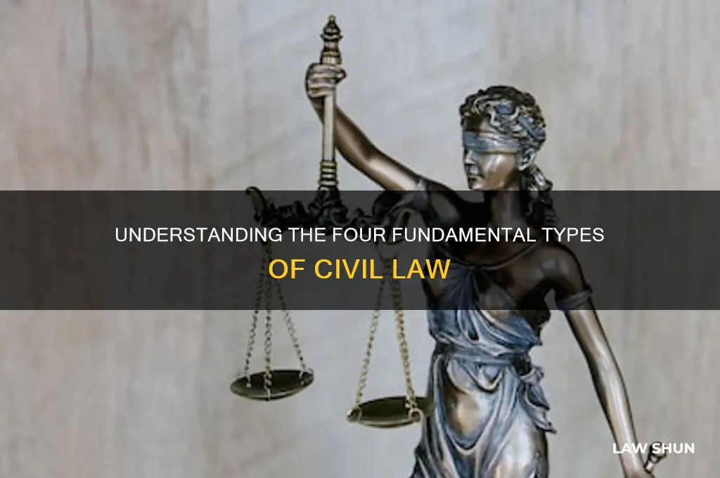 Understanding The Four Fundamental Types Of Civil Law | LawShun