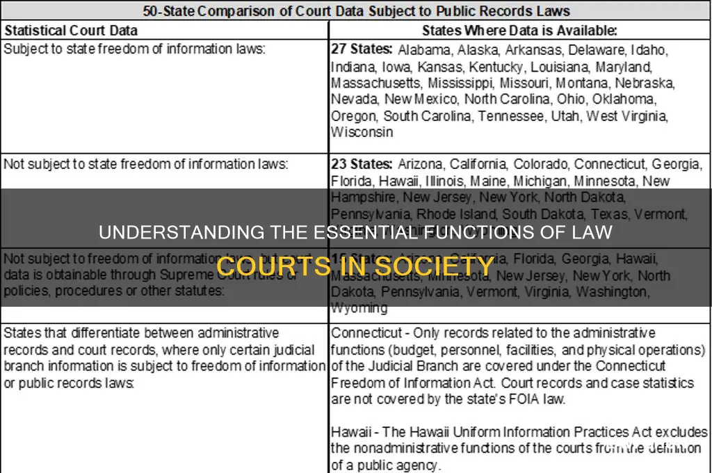 Understanding The Essential Functions Of Law Courts In Society | LawShun