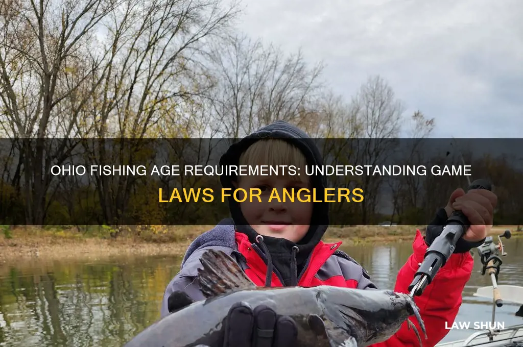Ohio Fishing Age Requirements: Understanding Game Laws For Anglers ...