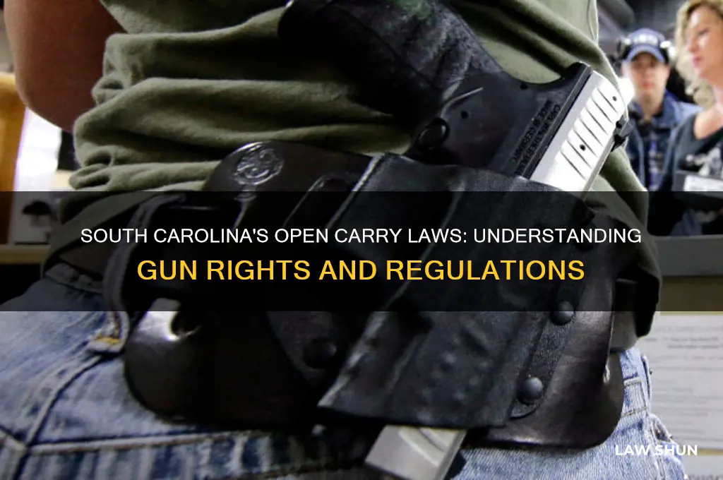 South Carolina's Open Carry Laws: Understanding Gun Rights And ...