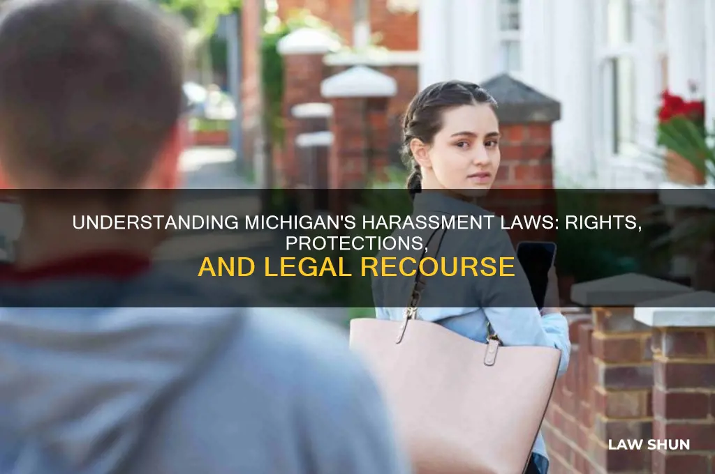 Understanding Michigan's Harassment Laws: Rights, Protections, And ...