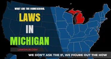 Michigan Marijuana Laws: Understanding Legal Use, Possession, And ...