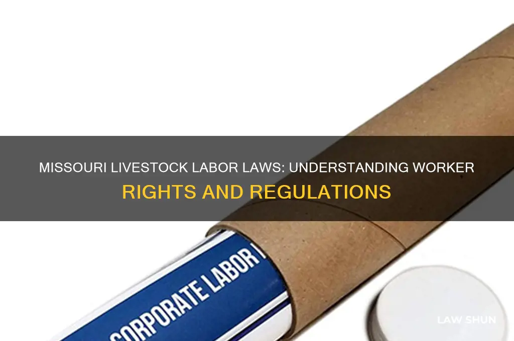Missouri Livestock Labor Laws: Understanding Worker Rights And ...