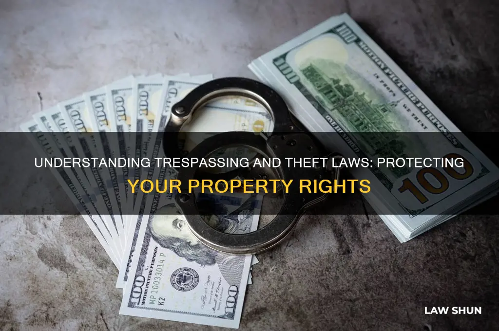 Understanding Trespassing And Theft Laws: Protecting Your Property ...