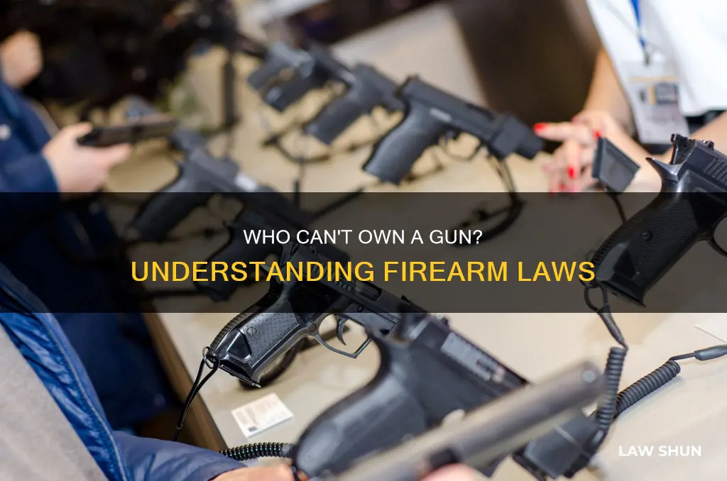 Who Can't Own A Gun? Understanding Firearm Laws | LawShun