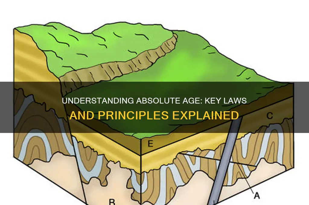Understanding Absolute Age: Key Laws And Principles Explained | LawShun