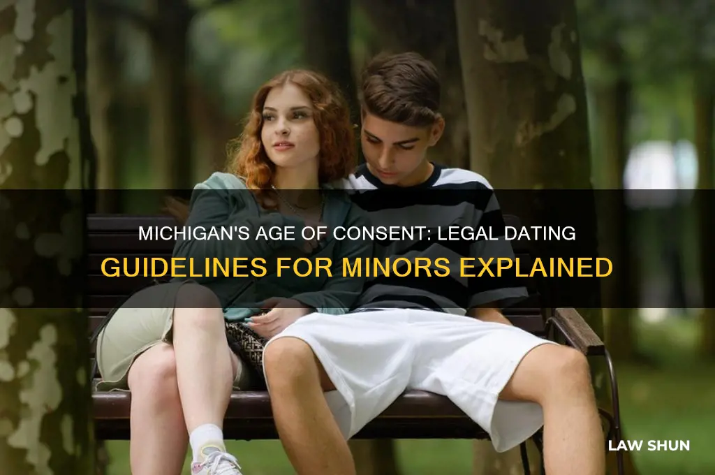 Michigan's Age Of Consent: Legal Dating Guidelines For Minors Explained ...