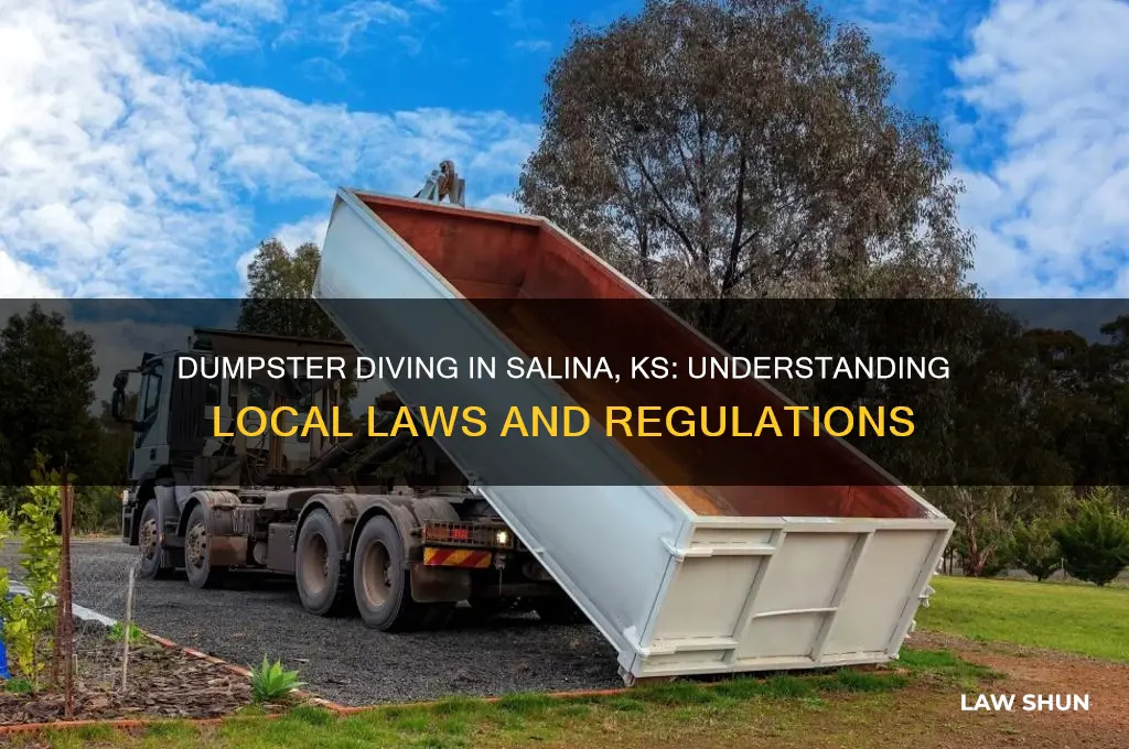 Dumpster Diving In Salina, Ks: Understanding Local Laws And Regulations ...