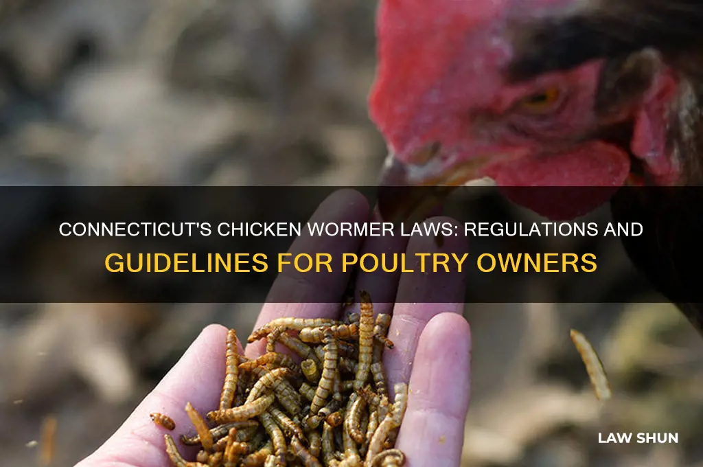 Connecticut's Chicken Wormer Laws: Regulations And Guidelines For ...