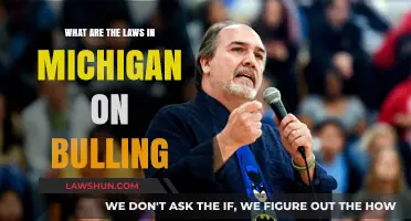 Unusual Michigan Laws: Strange Rules You Won't Believe Exist | LawShun