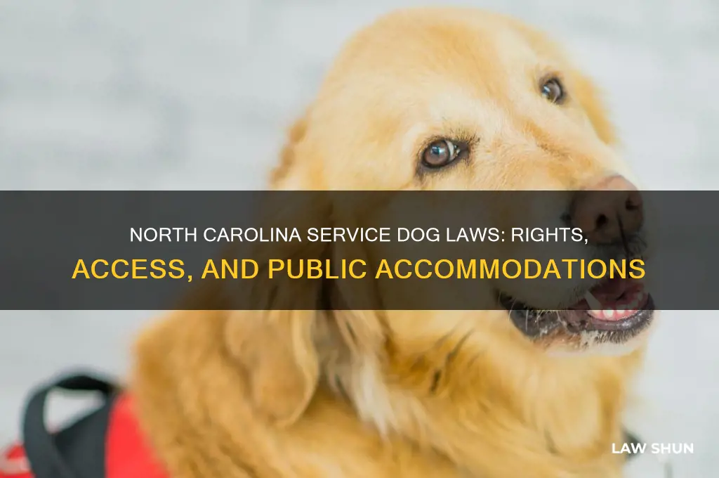 North Carolina Service Dog Laws: Rights, Access, And Public ...