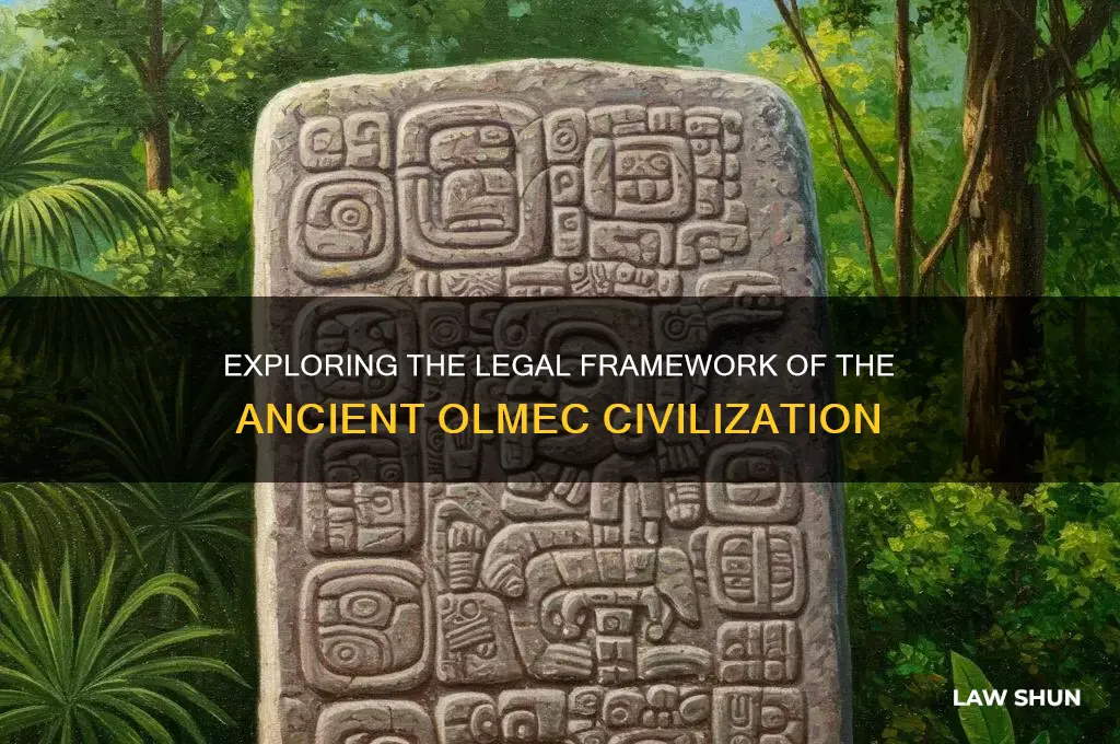 Exploring The Legal Framework Of The Ancient Olmec Civilization | LawShun