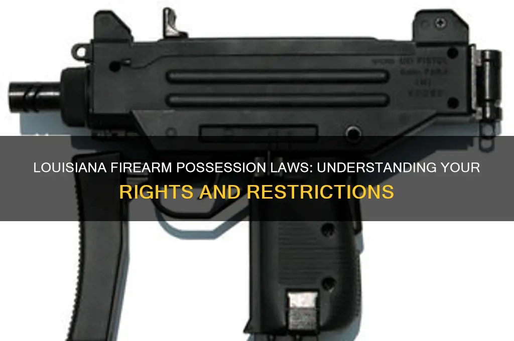 Louisiana Firearm Possession Laws: Understanding Your Rights And ...