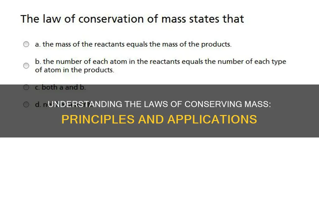 Understanding The Laws Of Conserving Mass: Principles And Applications ...