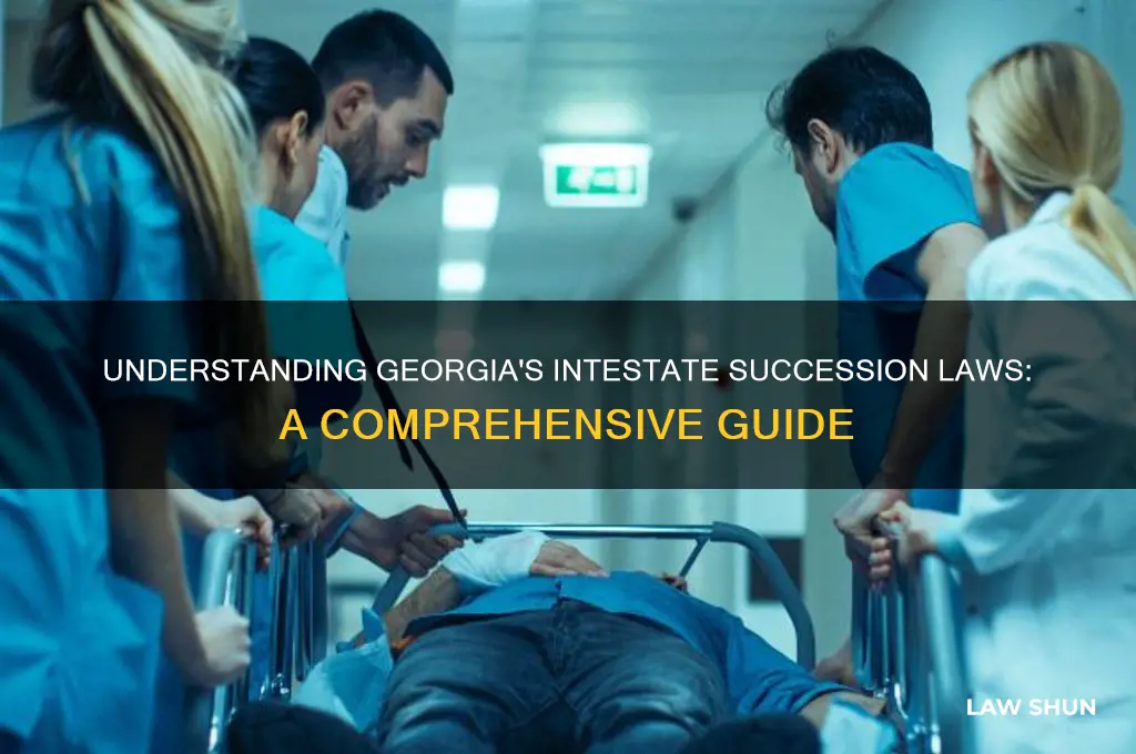 Understanding Georgia's Intestate Succession Laws: A Comprehensive ...