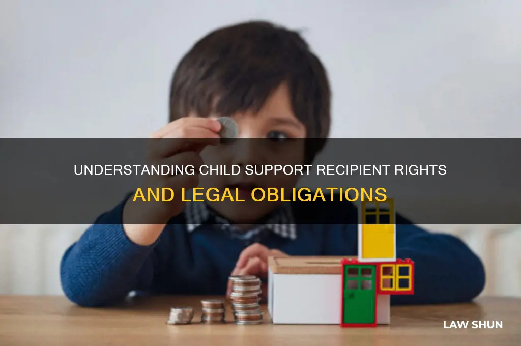 Understanding Child Support Recipient Rights And Legal Obligations ...