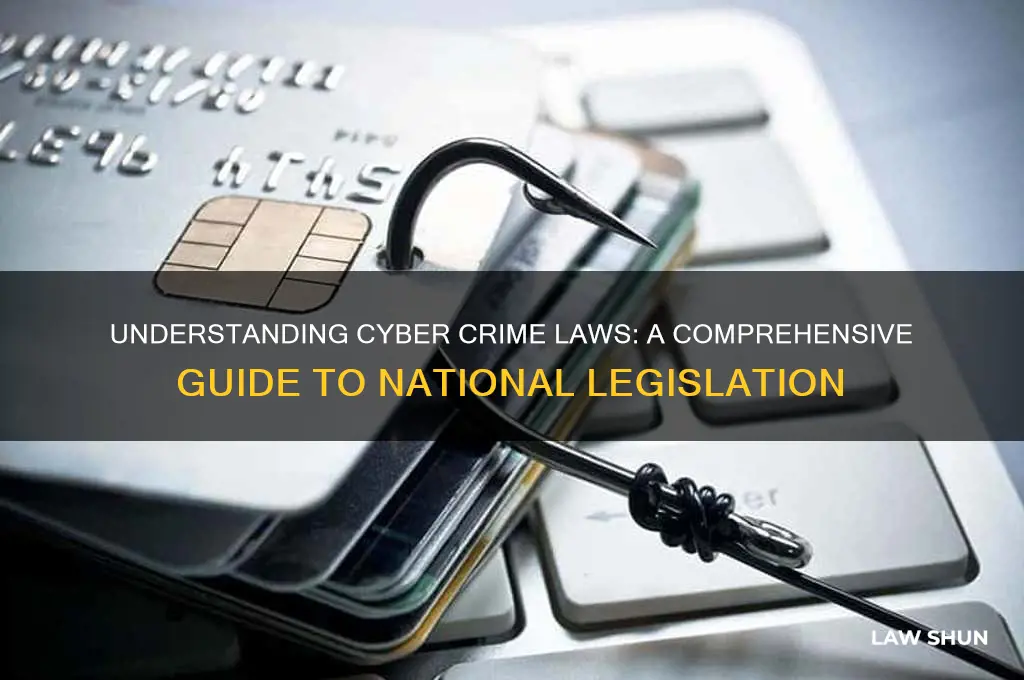 Understanding Cyber Crime Laws: A Comprehensive Guide To National ...