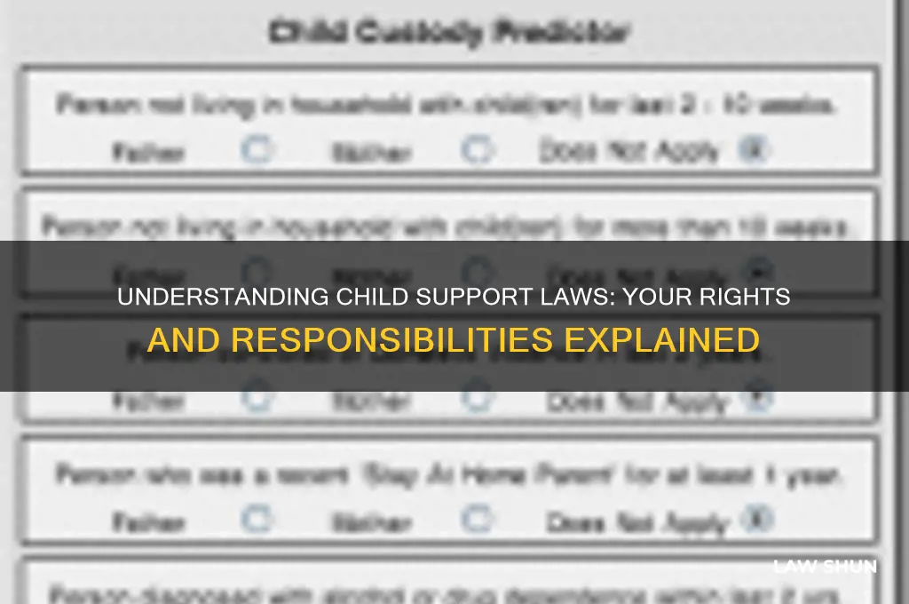 Understanding Child Support Laws: Your Rights And Responsibilities ...