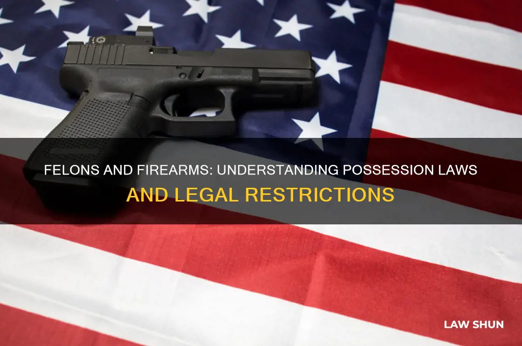 Felons And Firearms: Understanding Possession Laws And Legal ...