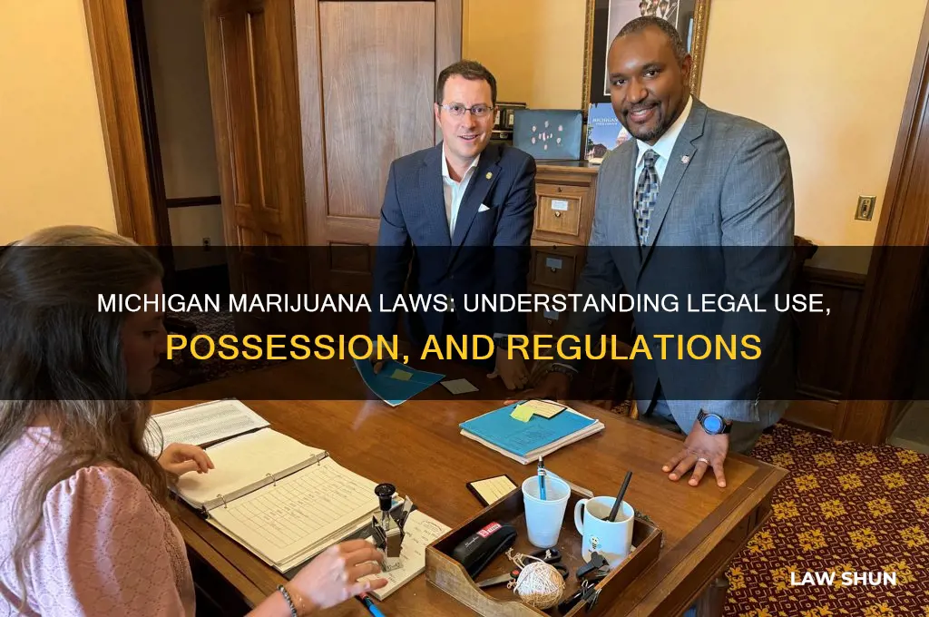 Michigan Marijuana Laws: Understanding Legal Use, Possession, And ...