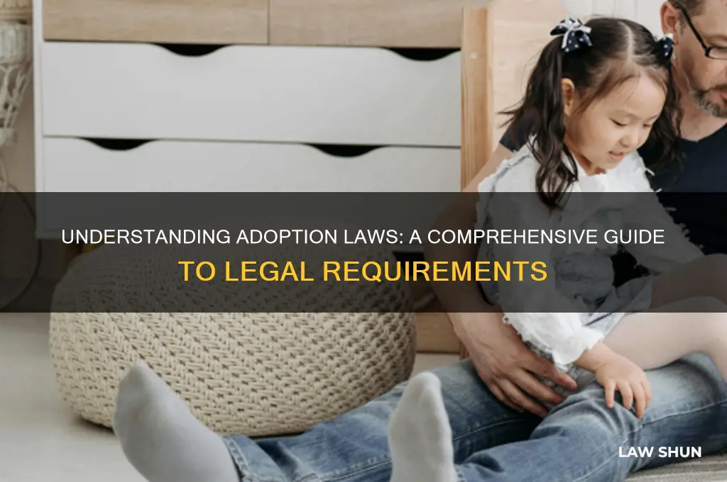 Understanding Adoption Laws: A Comprehensive Guide To Legal ...