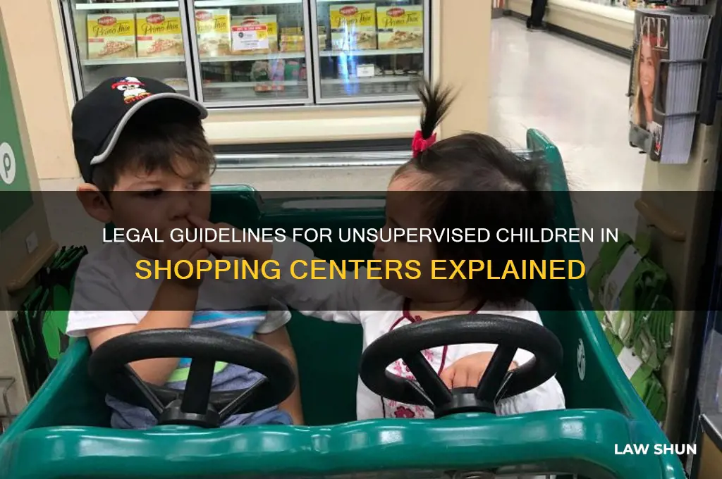 Legal Guidelines For Unsupervised Children In Shopping Centers ...