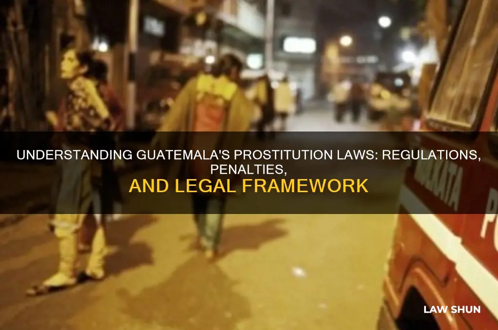 Understanding Guatemala's Prostitution Laws: Regulations, Penalties ...