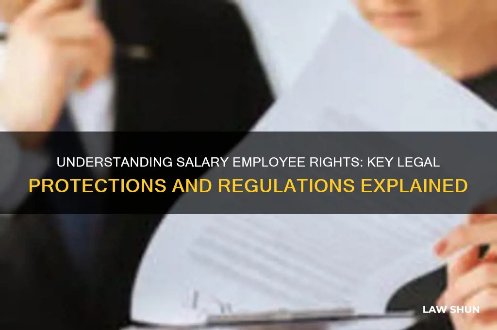 Understanding Salary Employee Rights: Key Legal Protections And ...