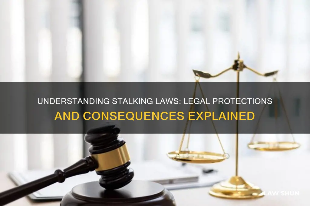 Understanding Stalking Laws: Legal Protections And Consequences ...