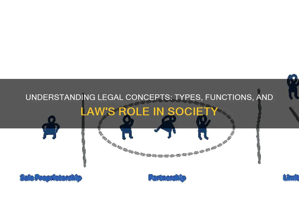 Understanding Legal Concepts: Types, Functions, And Law's Role In ...