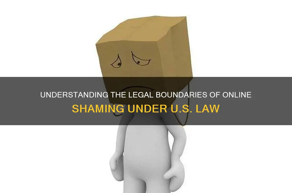 Understanding The Legal Boundaries Of Online Shaming Under U.S. Law ...