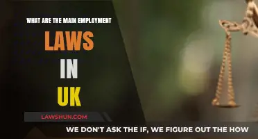 Uk Laws: A Comprehensive Overview | LawShun
