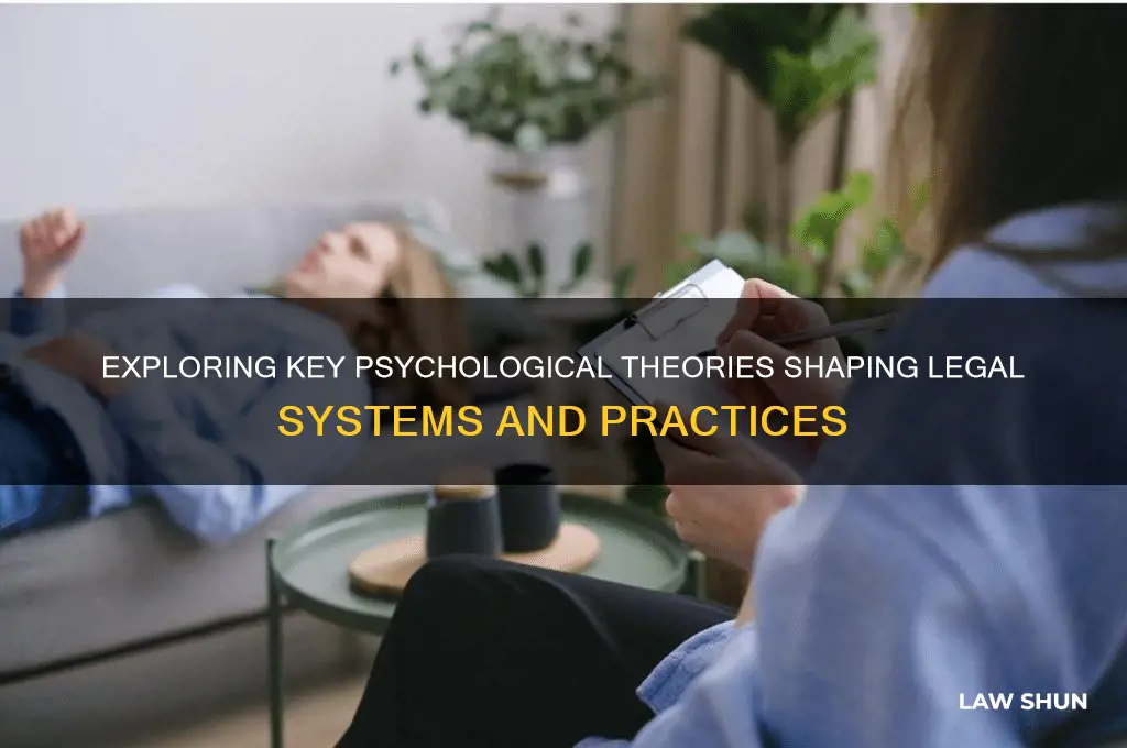 Exploring Key Psychological Theories Shaping Legal Systems And ...