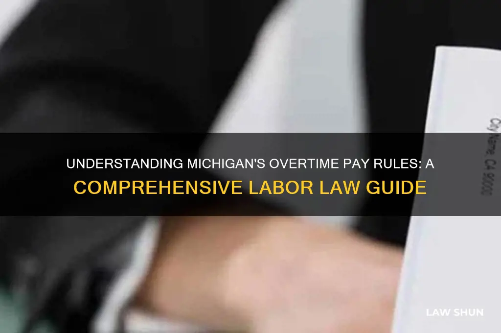 Understanding Michigan's Overtime Pay Rules: A Comprehensive Labor Law ...