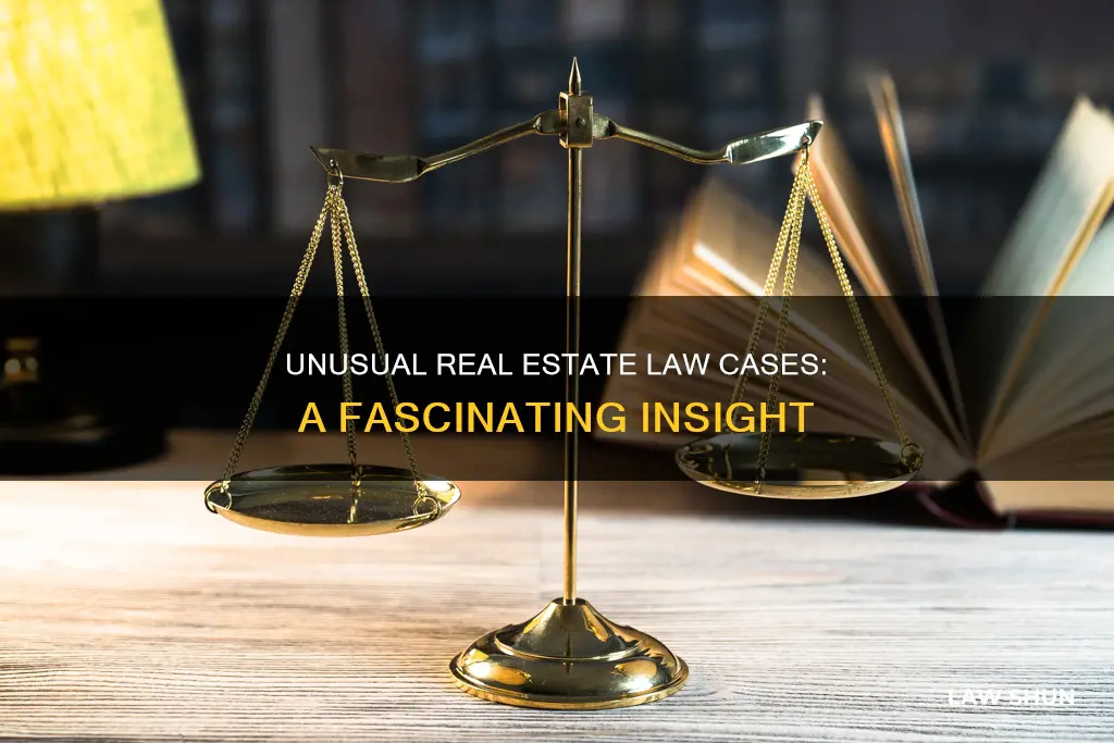 Unusual Real Estate Law Cases: A Fascinating Insight | LawShun